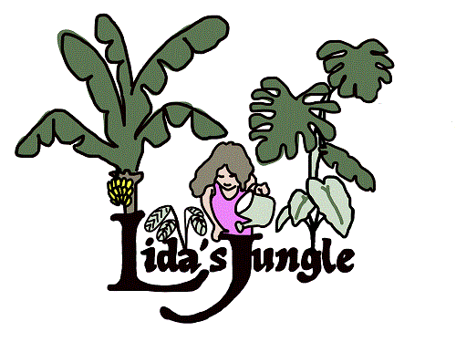 Home | Lida's Jungle Online
